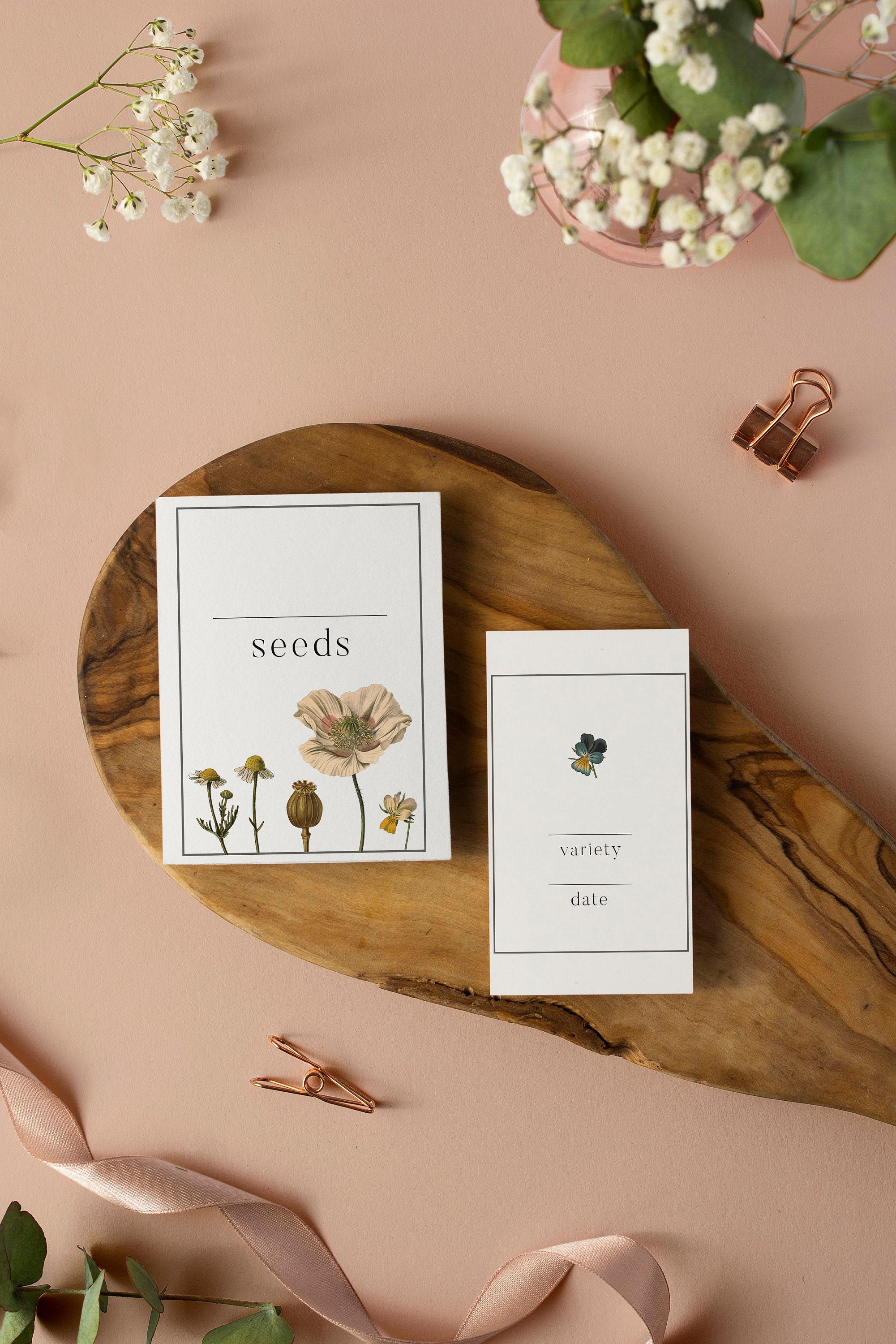 Printable Seed Saver Packets Mini Envelopes With Illustrated - Etsy