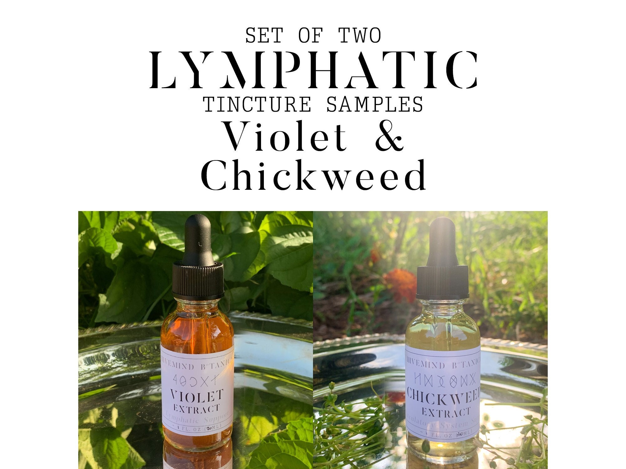 Lymph Flow Violet Flower & Chickweed Set of 2 Herbal - Etsy