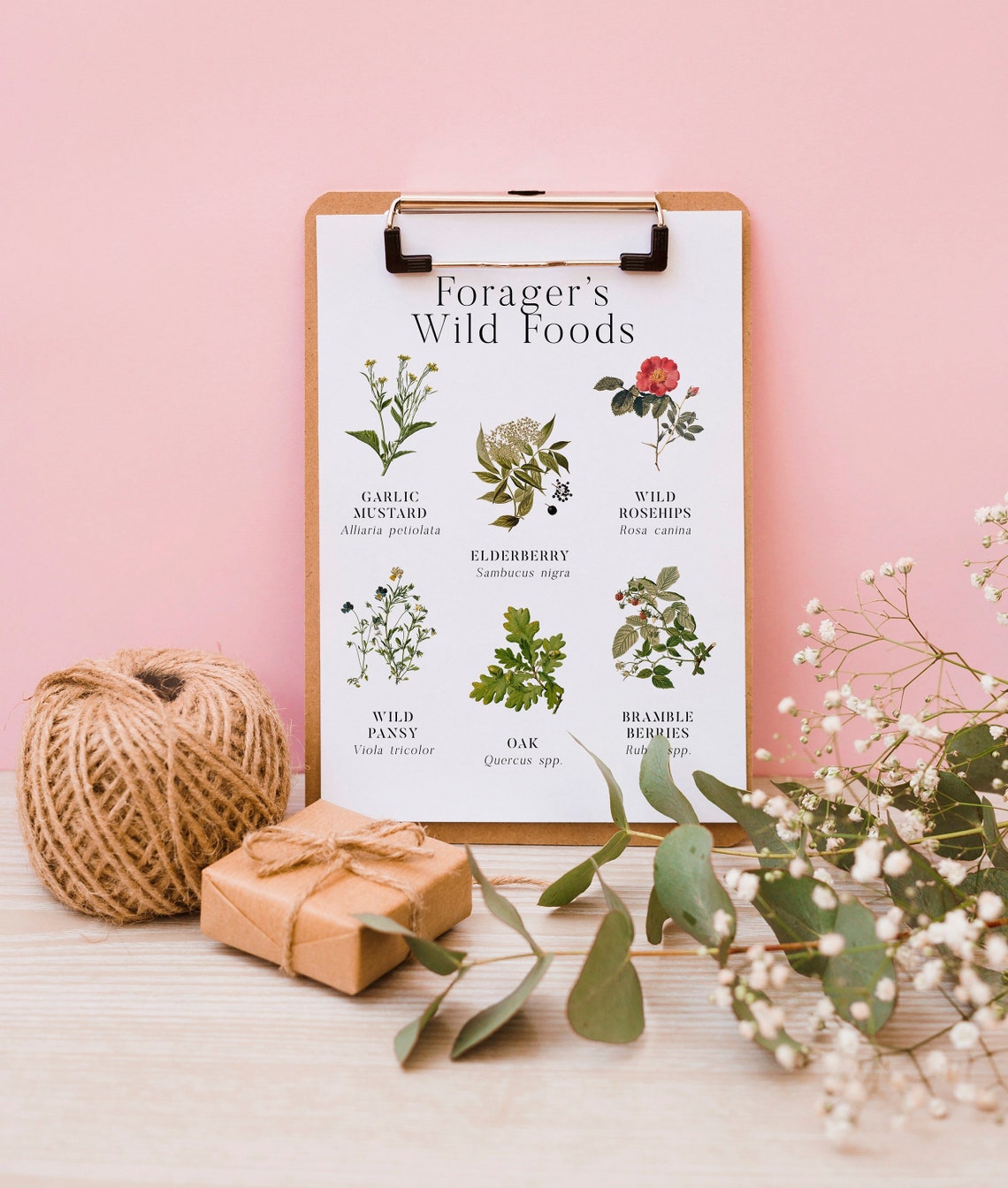 Printable Illustrated Herbal Poster Forager's Wild - Etsy