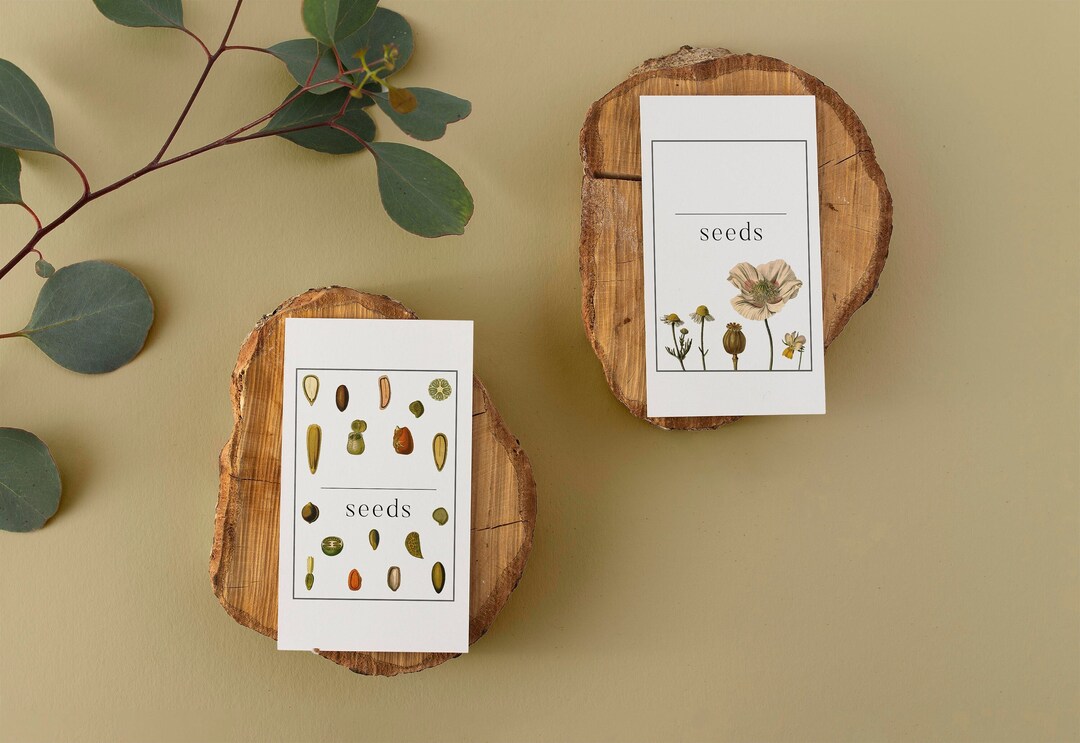 Printable Seed Saver Packets Mini Envelopes With Illustrated Herbal ...