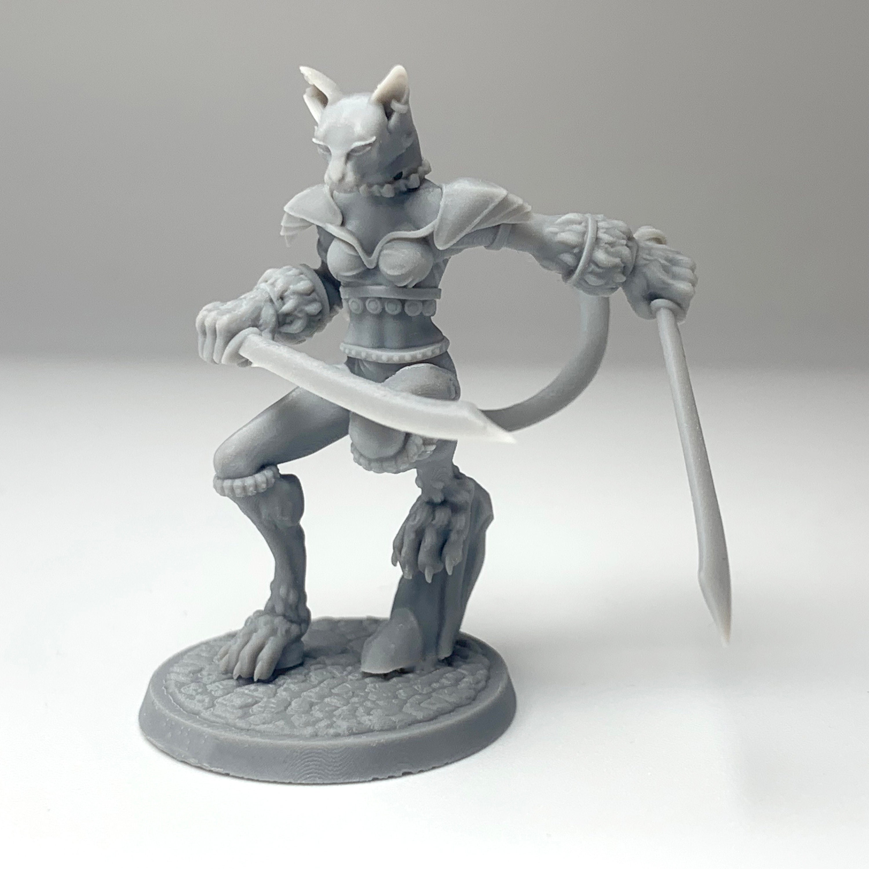 Female Tabaxi V4 for D&D Dungeons and Dragons Tabletop Gaming Wargaming ...