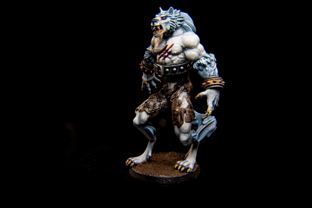 Werewolf/ Wolf-folk Painted for D&D Dungeons and Dragons Tabletop ...