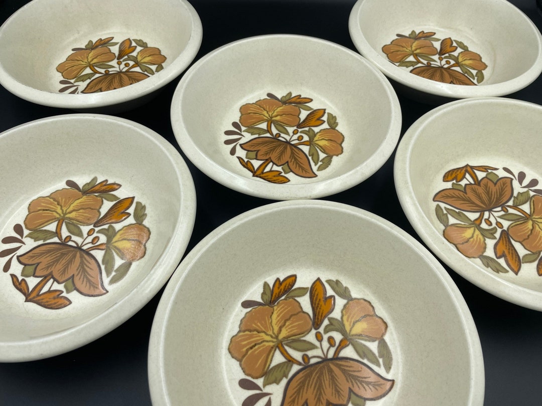 Palissy (royal Worcester) Bowl Set of Six Kismet Pattern - Etsy UK
