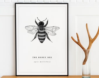DIGITAL DOWNLOAD Bumble Bee Wall Art Download Wall (Download Now) - Etsy