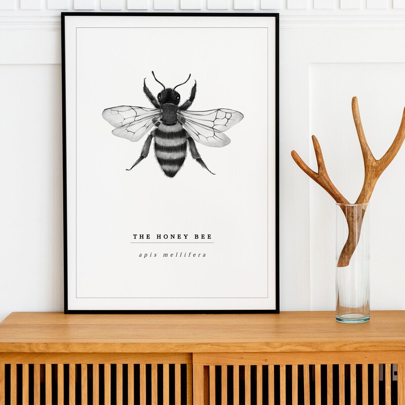 Honey Bee Print - Etsy