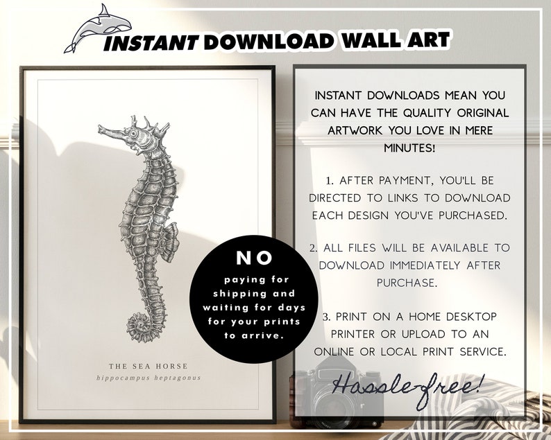 Squid Art Print INSTANT DOWNLOAD Minimalist Beach Decor | Etsy