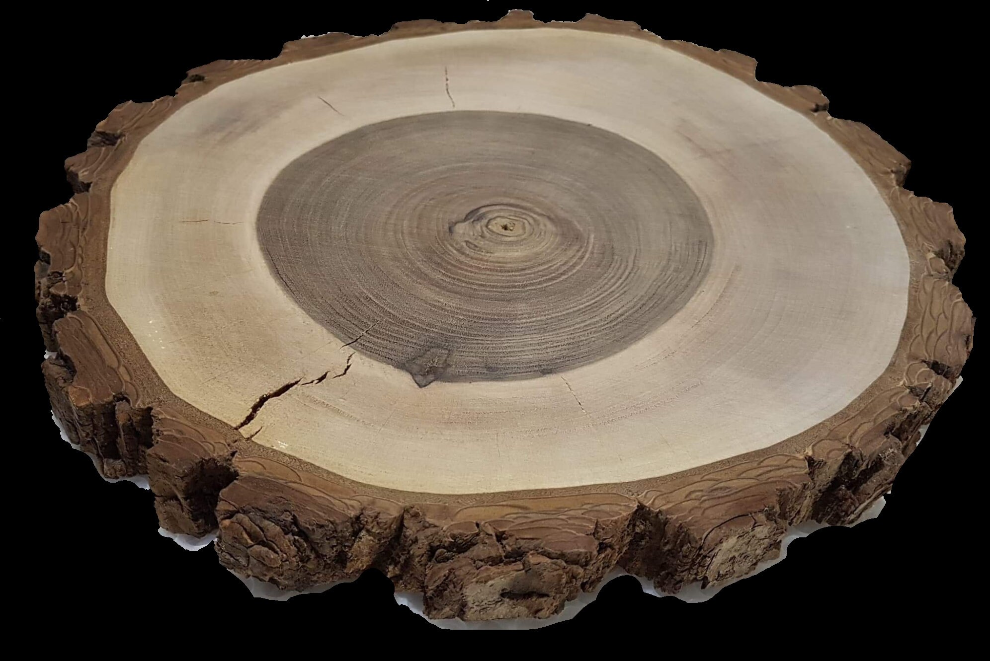 Black walnut round wood slices slabs with bark | Etsy