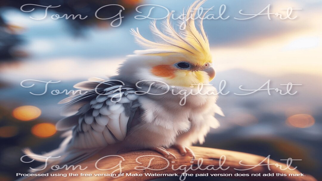 Cockatiel Bird Computer Wallpaper 4 - Etsy