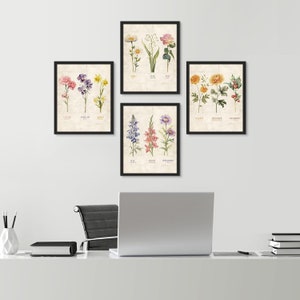 Framed Wall Art Set of 4 Birth Month Flower Prints Wildflower Botanical ...