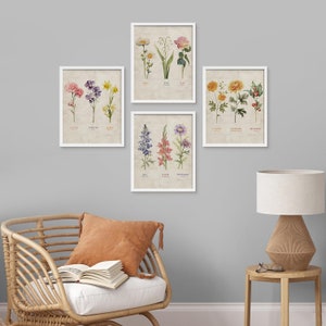 Framed Wall Art Set of 4 Birth Month Flower Prints Wildflower Botanical ...