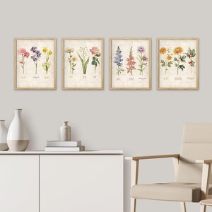 Framed Wall Art Set of 4 Birth Month Flower Prints Wildflower Botanical ...