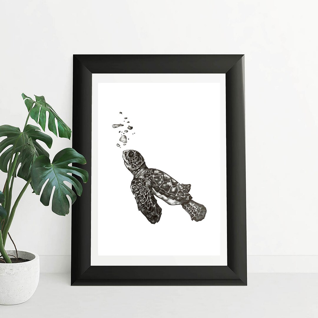 Turtle Print - Etsy