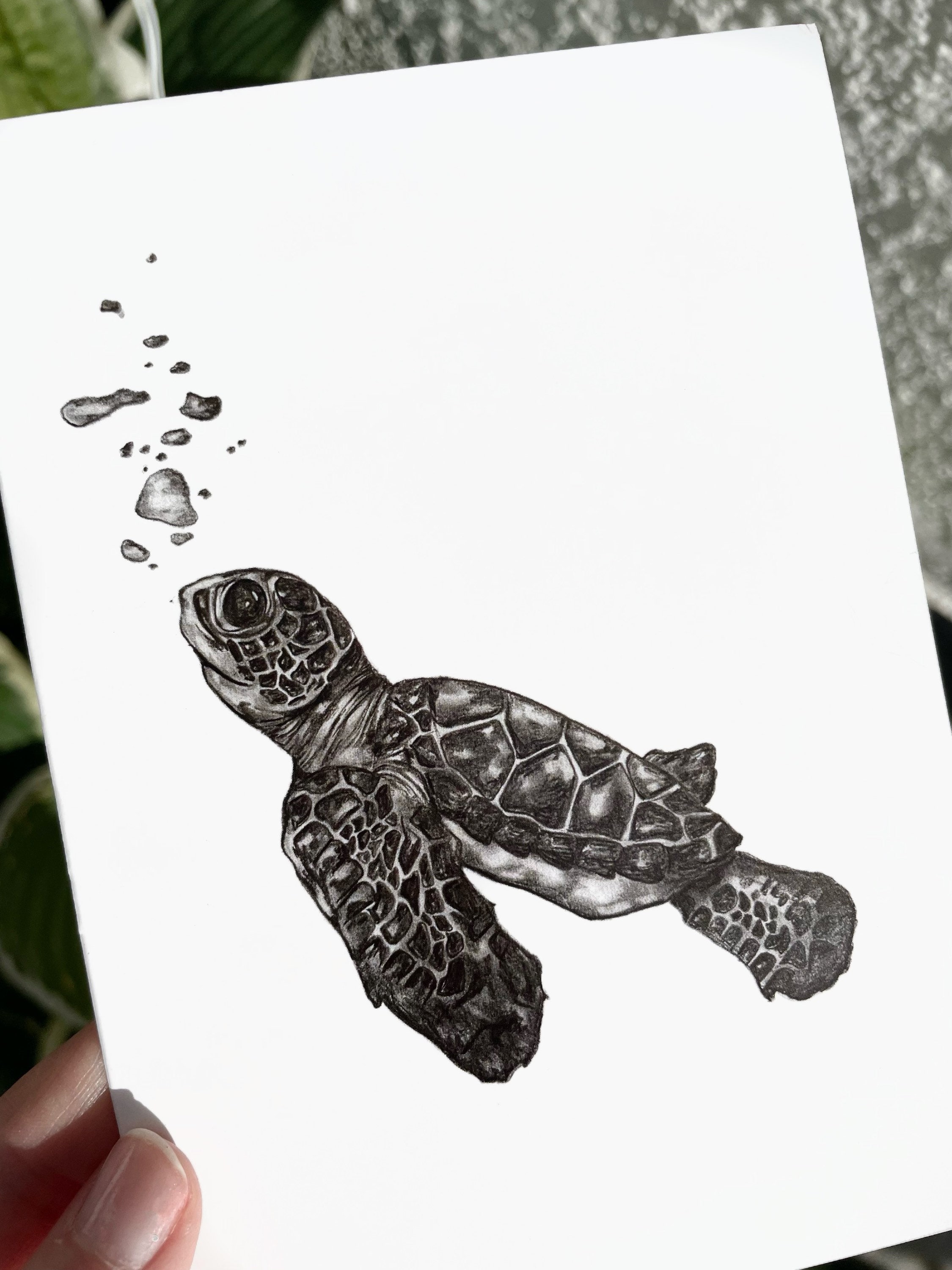 Turtle Print - Etsy
