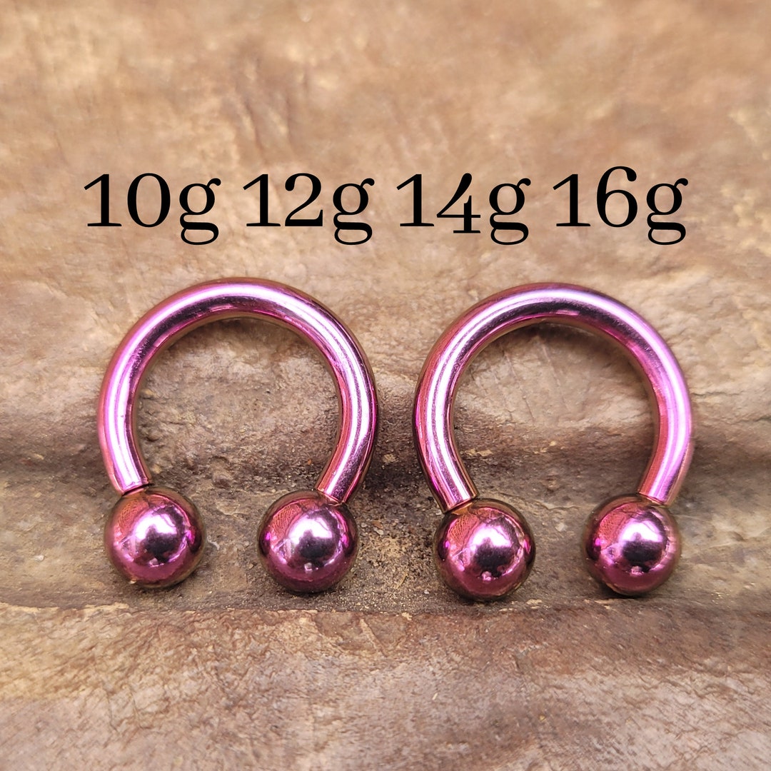 CHOOSE 2 Purple Titanium Steel Pinchers Ear Plugs Horseshoes Gauges ...