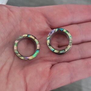 Pair Abalone Steel Shell Screw Fit Steel Tunnels Ear Plugs Gauges 4g 2g ...