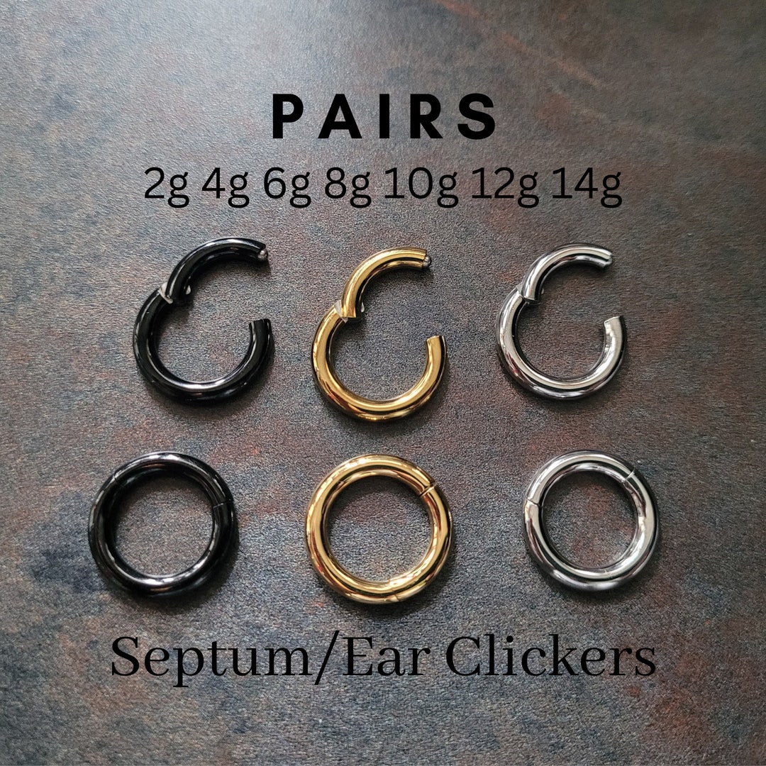 PAIR 2g 4g 6g 8g Hinged Clicker Segment Ring Hoop Earring Ear Silver ...
