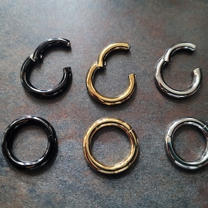 PAIR 2g 4g 6g 8g Hinged Clicker Segment Ring Hoop Earring Ear Silver ...