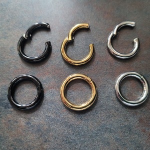 PAIR 2g 4g 6g 8g Hinged Clicker Segment Ring Hoop Earring Ear Silver ...