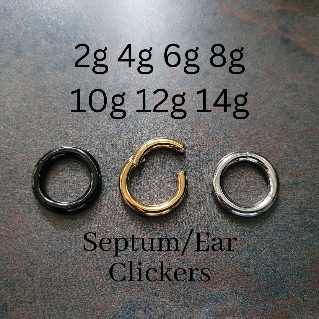 2g 4g 6g 8g Hinged Clicker Segment Ring Hoop Earring Ear Black Gold Silver Steel Big Large Gauge ...