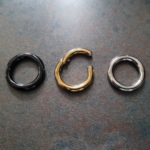 2g 4g 6g 8g Hinged Clicker Segment Ring Hoop Earring Ear Black Gold ...