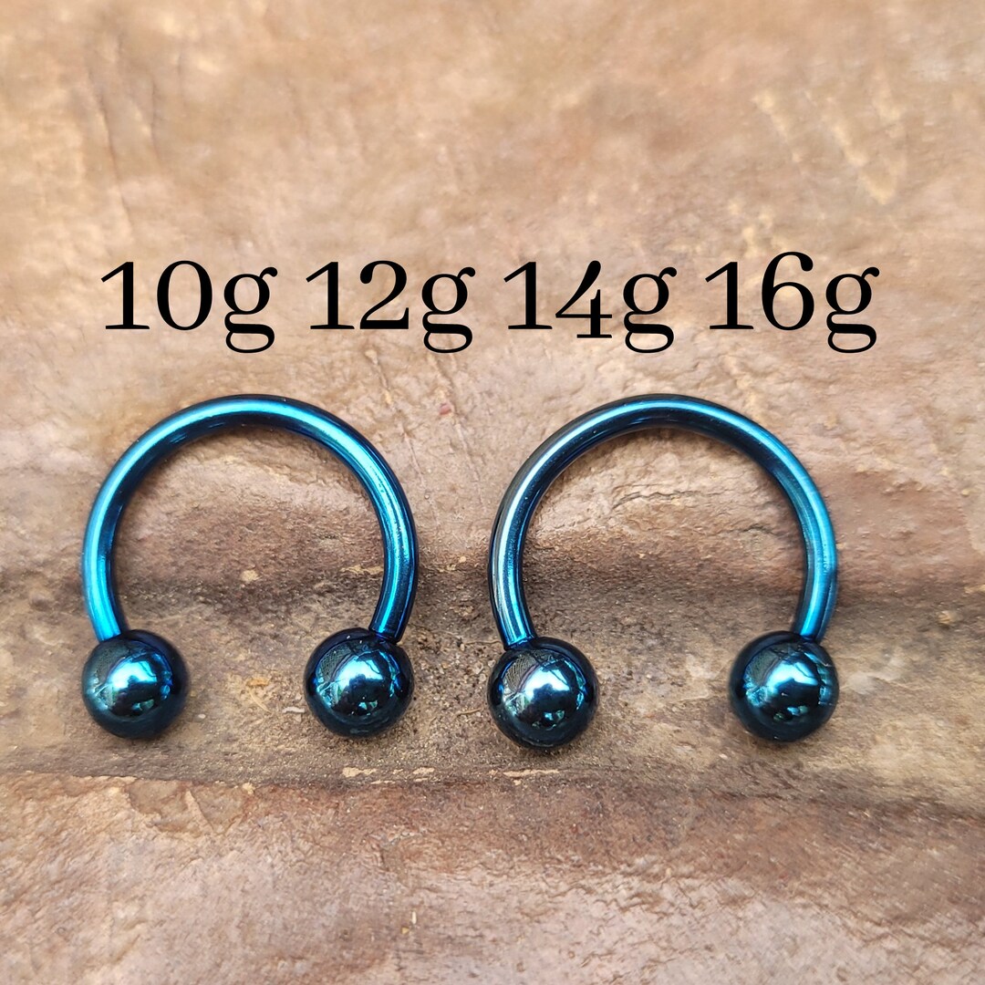 CHOOSE 2 Blue Titanium Steel Pinchers Ear Plugs Horseshoes Gauges ...