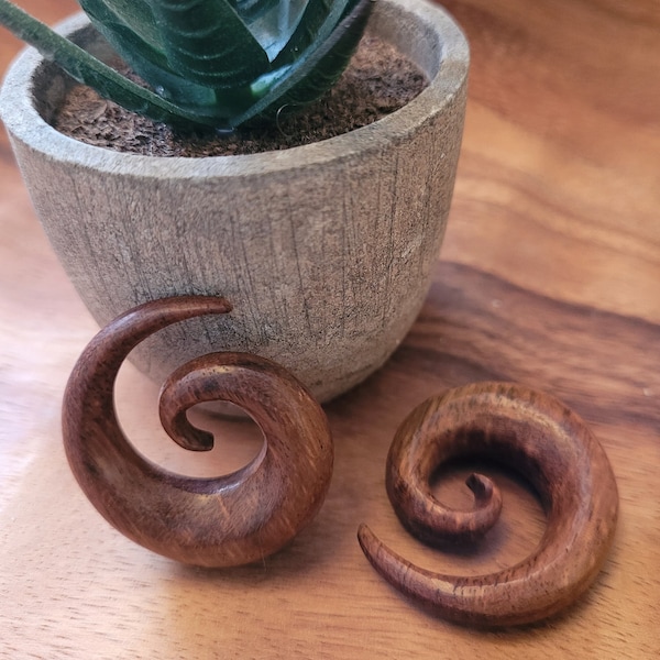 Wood Ear Gauges - Etsy