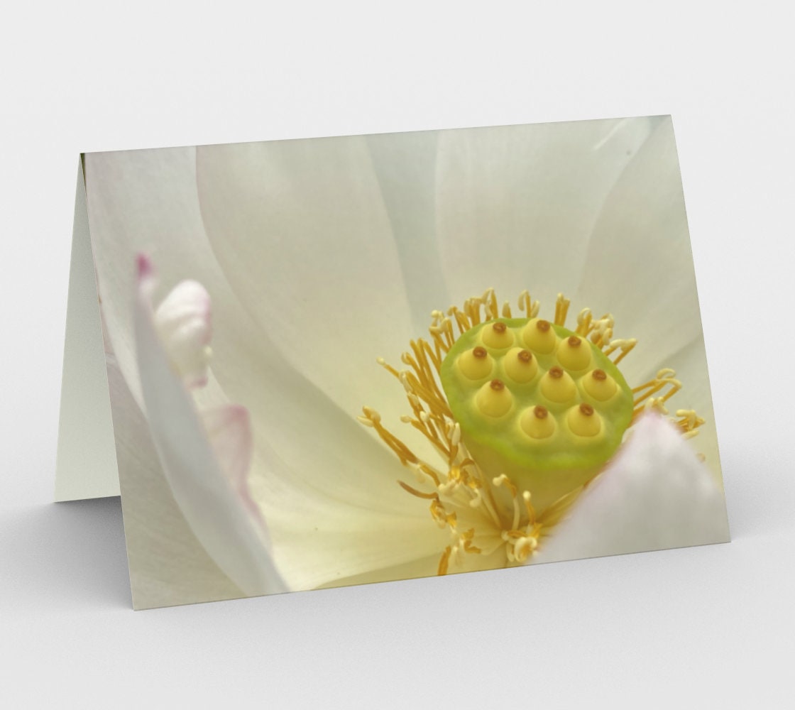 Package of 3 Water Lilly Cards, Flower Birthday Card, Mother's Day Card ...