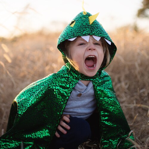 Green Metallic Toddler Dragon Cape - Etsy