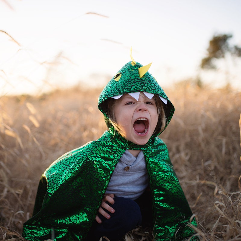 Dragon Cape - Etsy