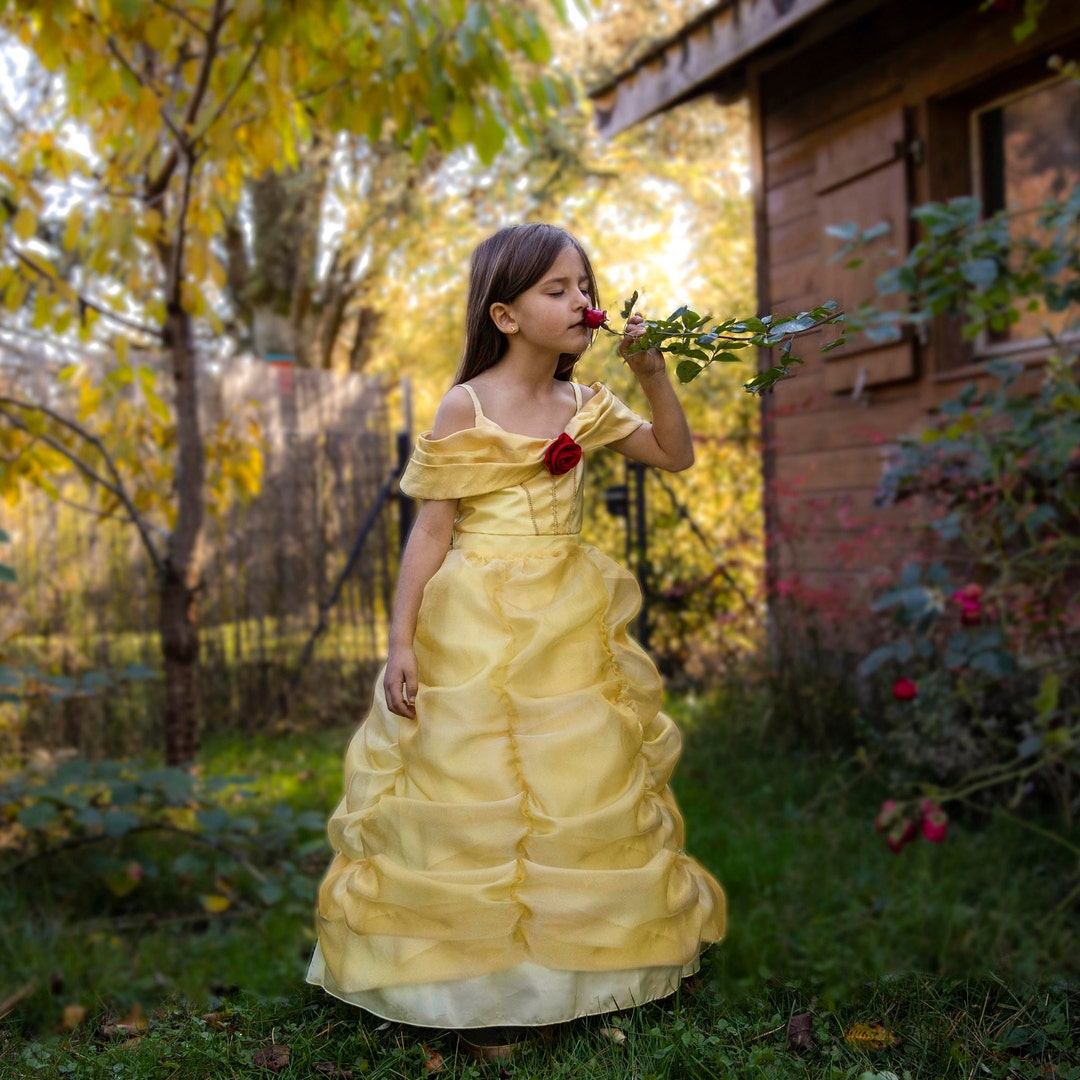 Boutique Belle Gown, Dress up Costume for Princess, Princess Dress ...