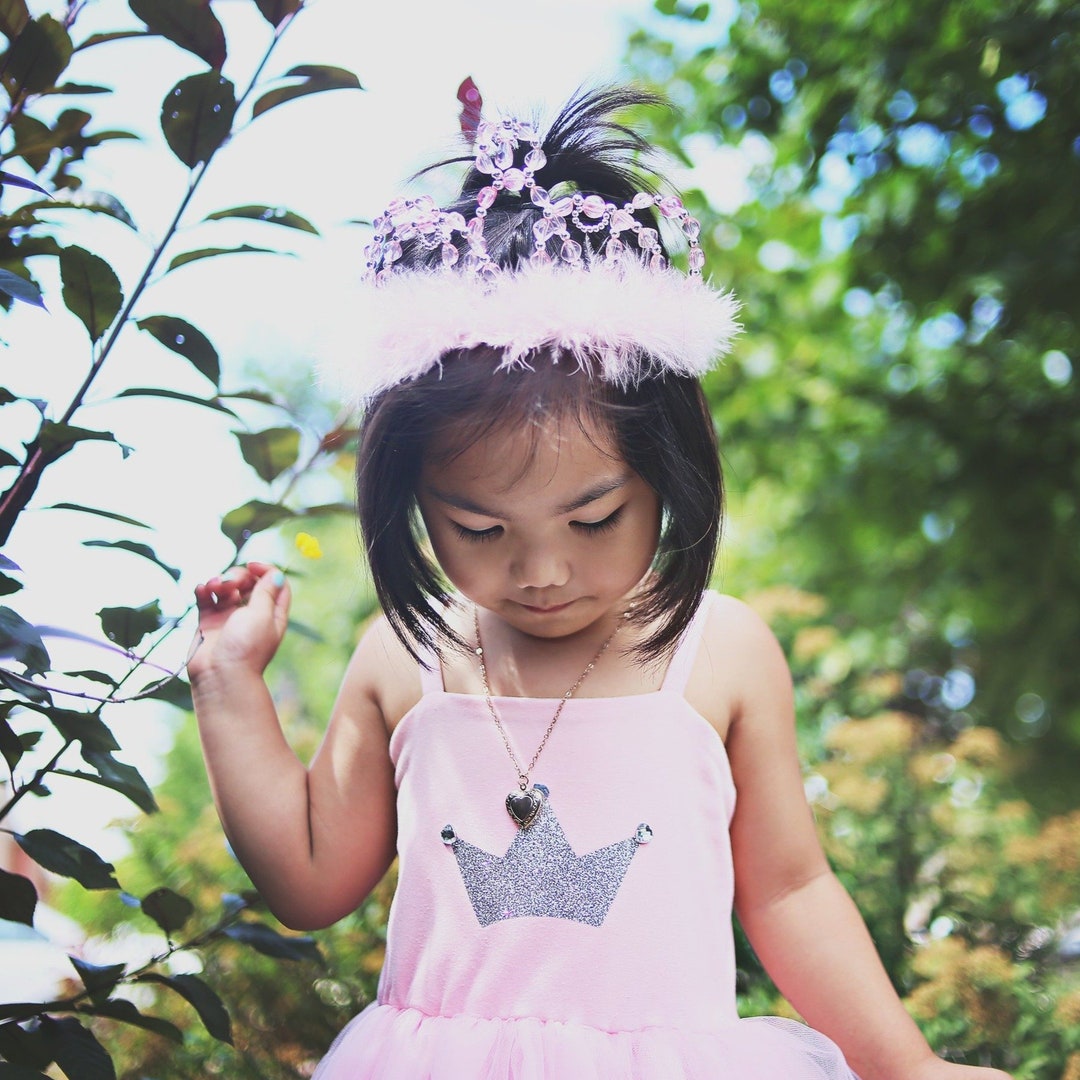 Pink & Silver Princess Tiara, Pink Tiara for Kids, Kids Crown, Kids ...