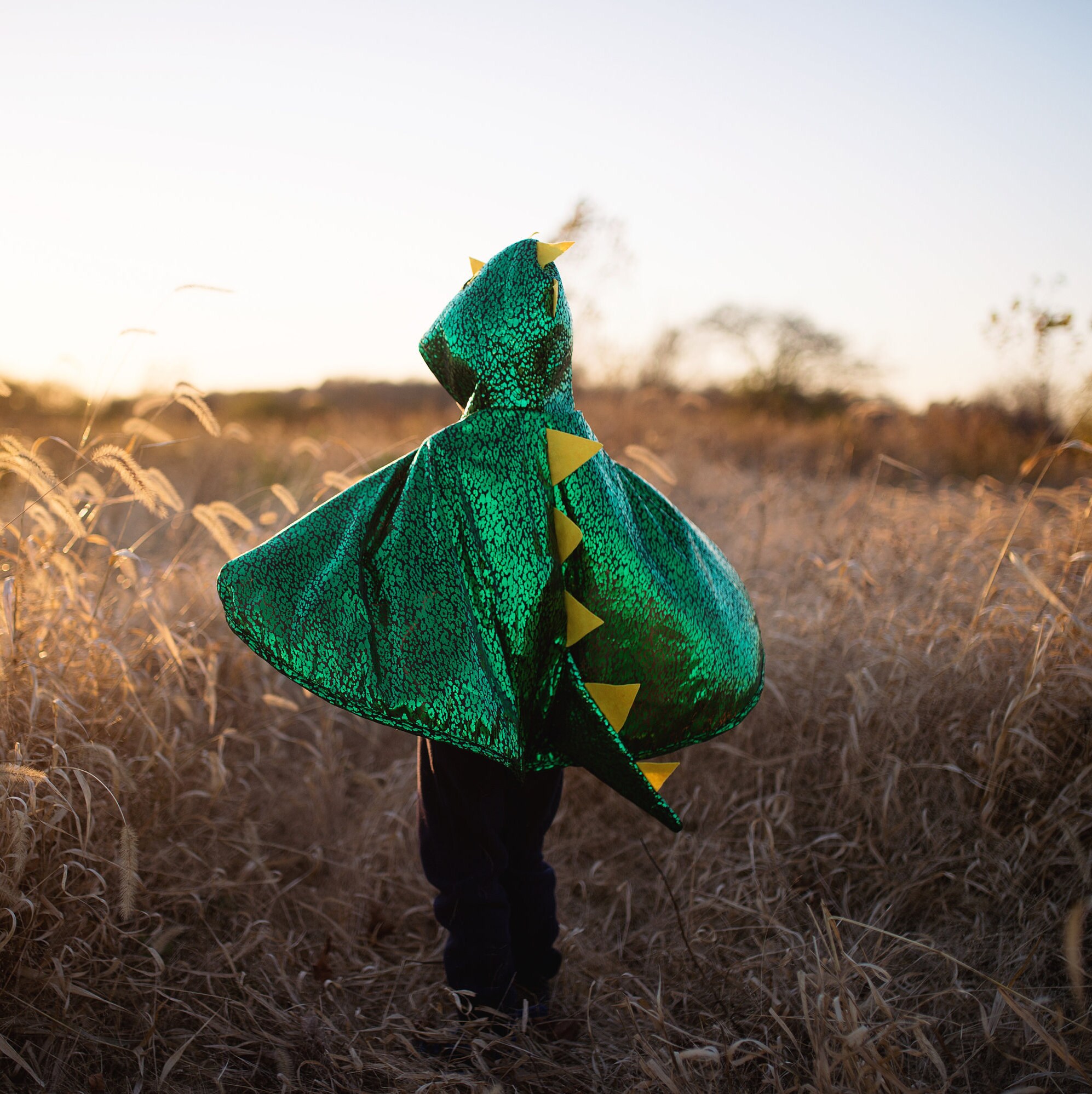 Green Metallic Toddler Dragon Cape - Etsy