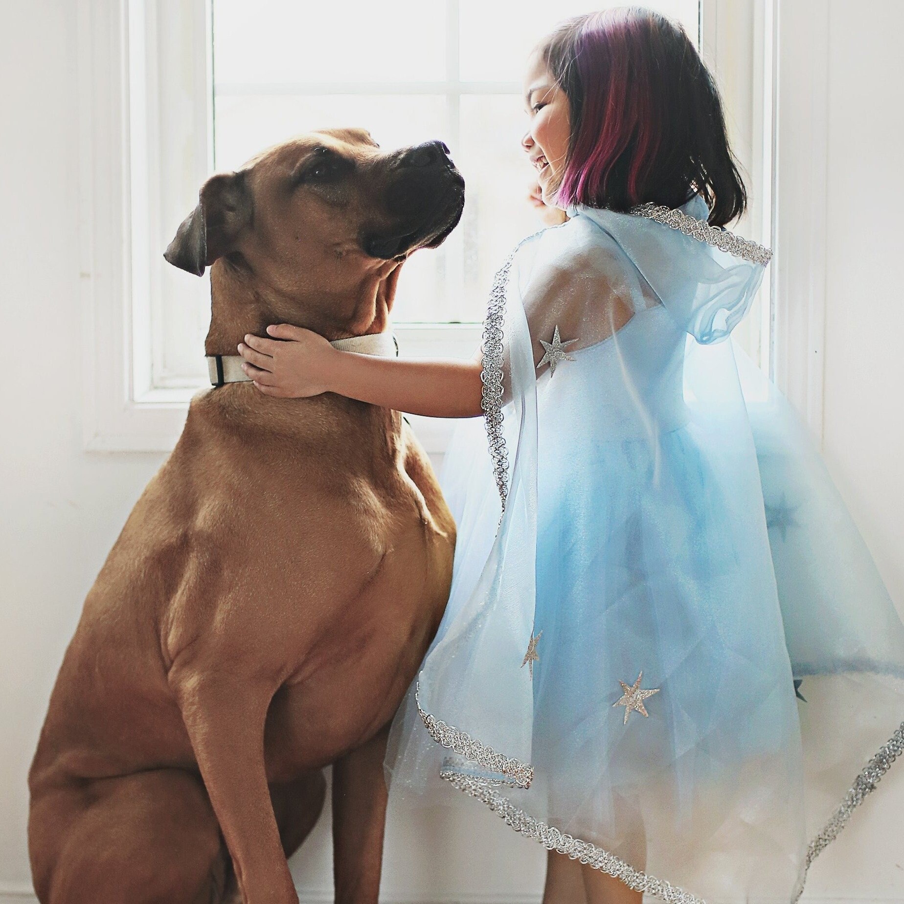 Cinderella/Blue Snow Queen Cape | Etsy