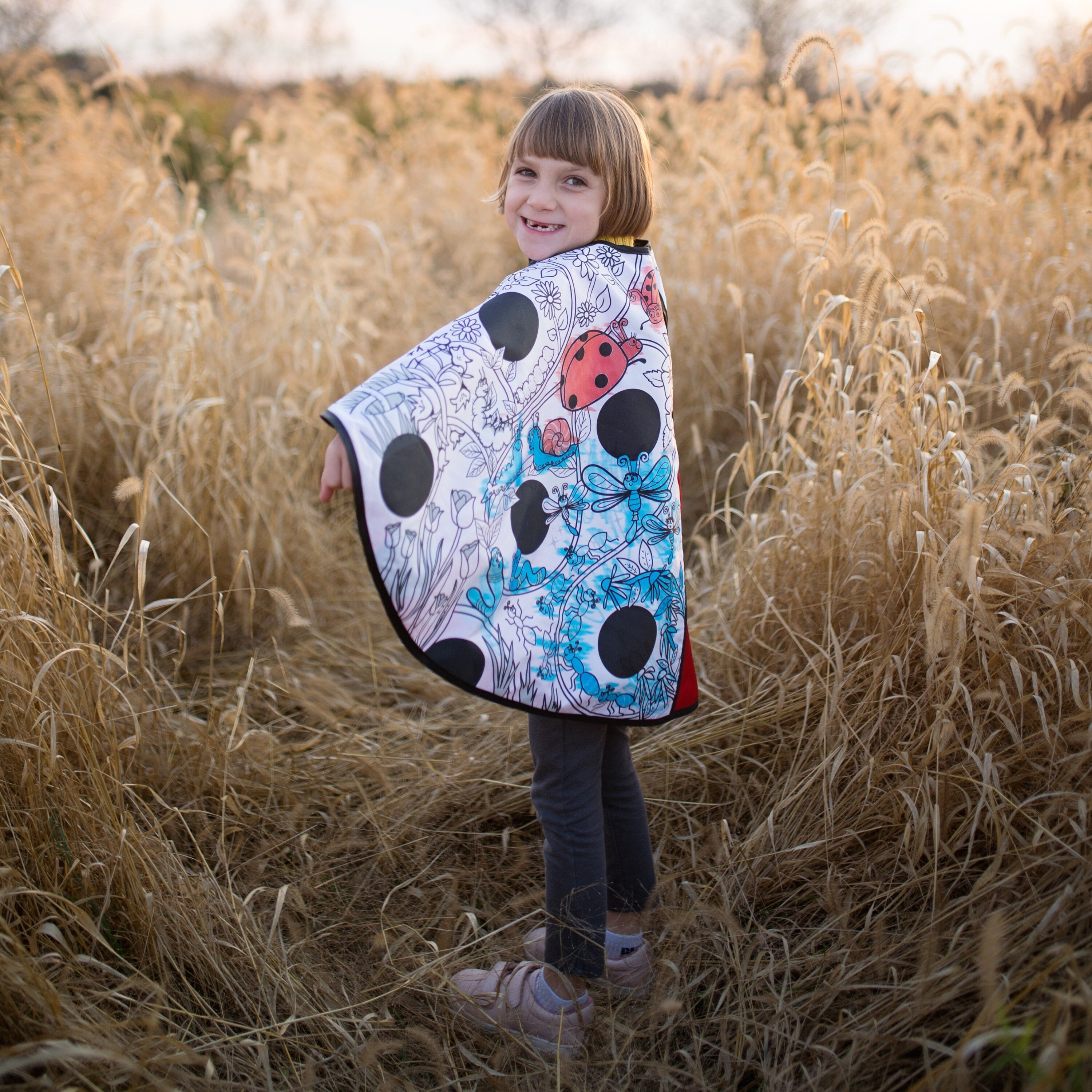 Colour-a-ladybug Cape Ladybug Costume Ladybug Cape for Kids | Etsy