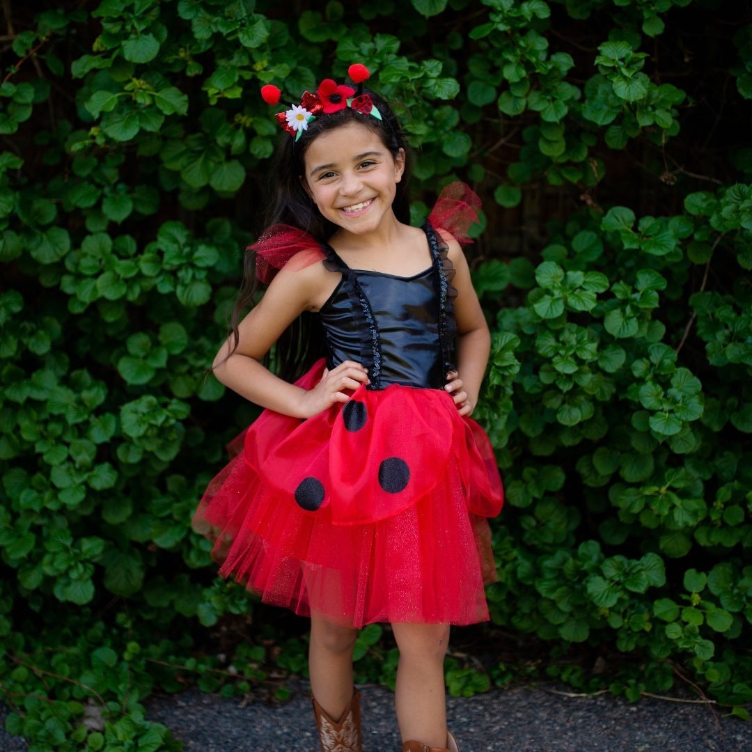 Ladybug Costume For Teenager