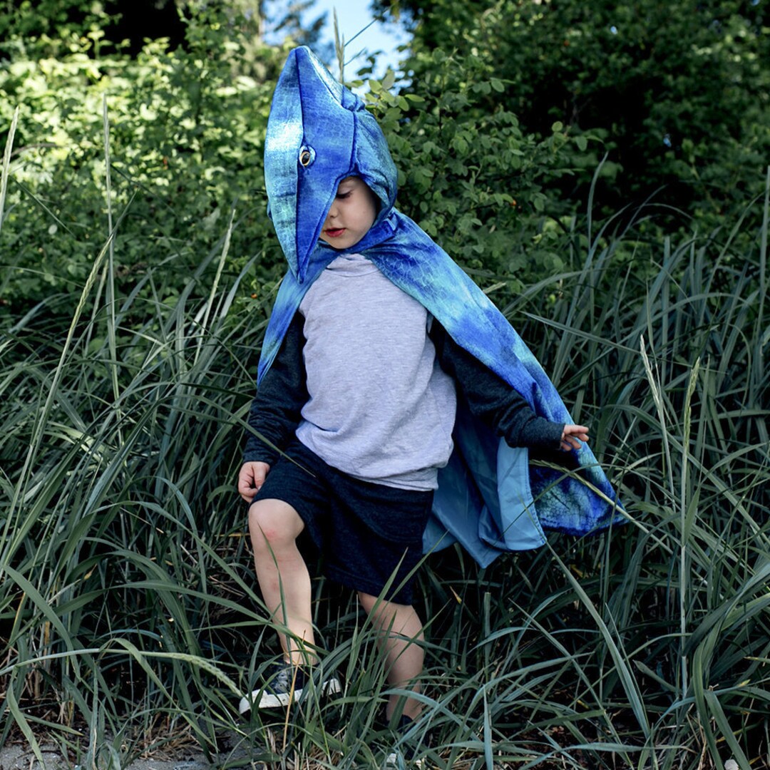 Dinosaur Cape for Toddler up Pterodactyl Costume Cape, Pretend Play ...
