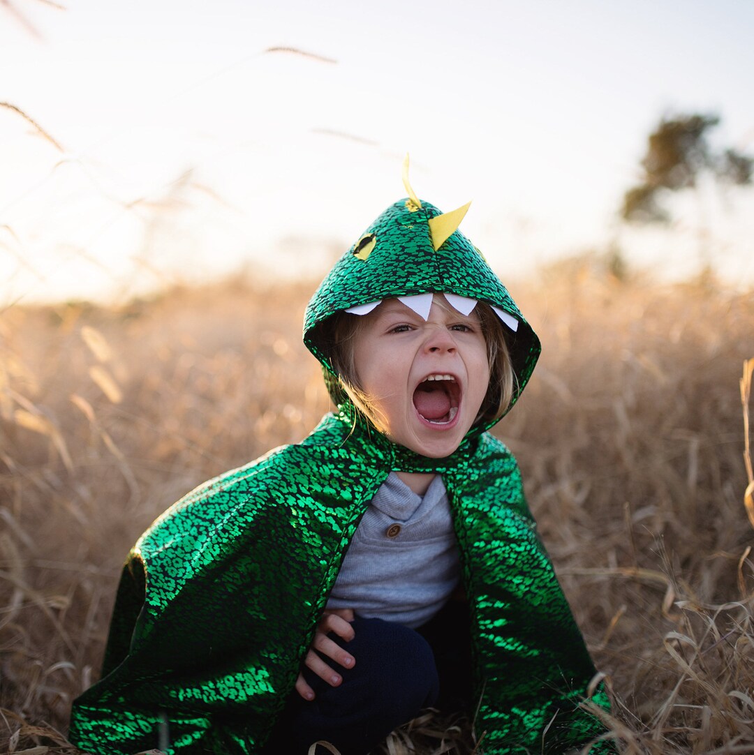 Green Metallic Toddler Dragon Cape - Etsy