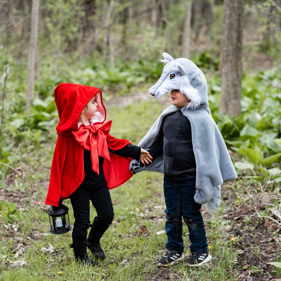 Little Red Riding Hood And Wolf Costume