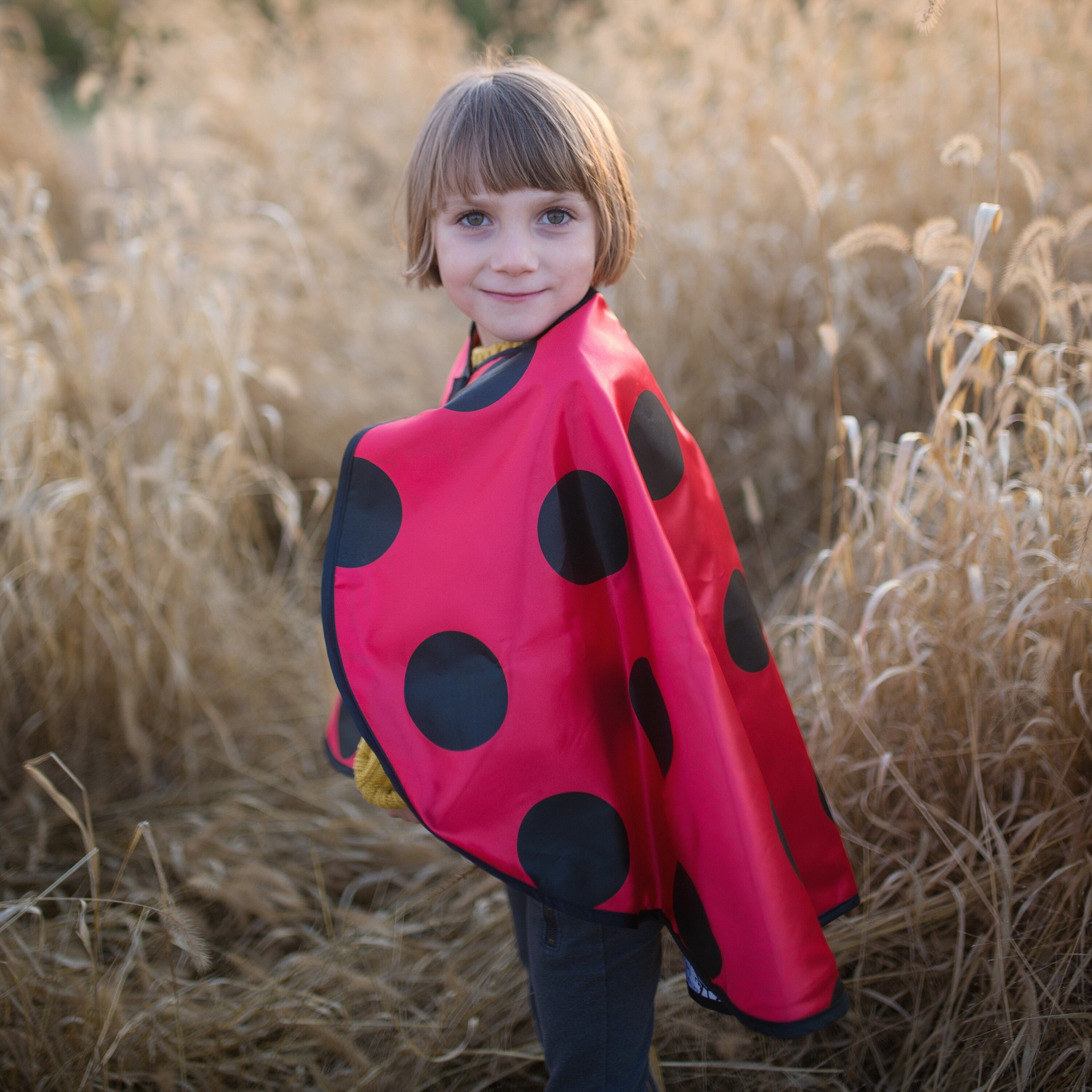 Colour-a-ladybug Cape Ladybug Costume Ladybug Cape for Kids - Etsy