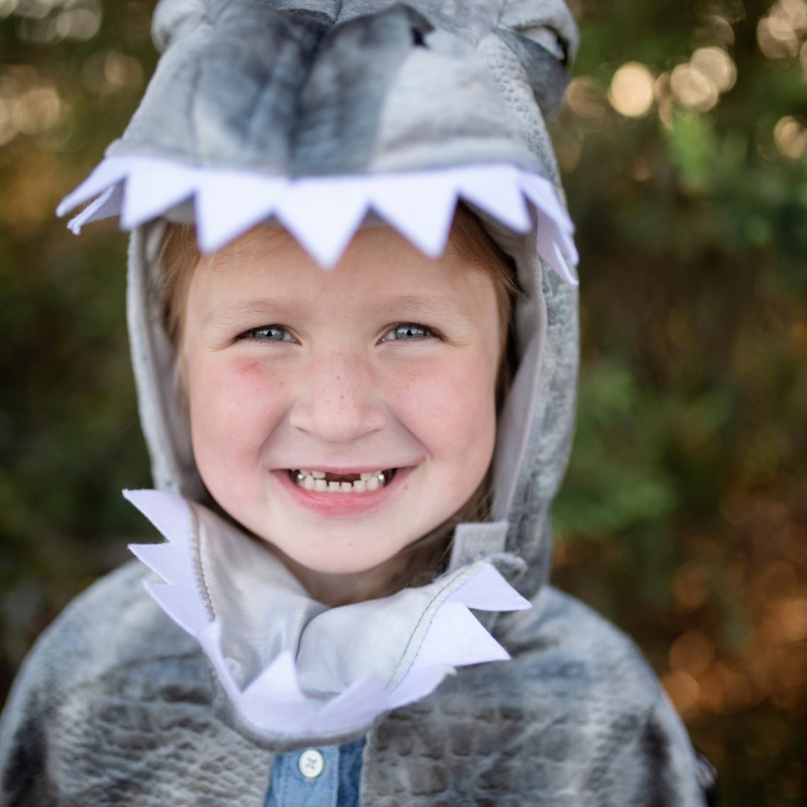 Dinosaur Cape for Toddler up Spinosaurus Costume Cape Pretend - Etsy