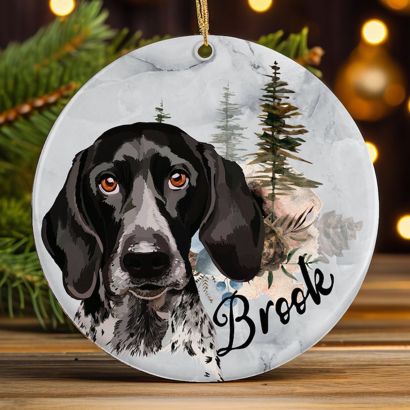 German Shorthaired Pointer Gifts - 60+ Gift Ideas for 2025