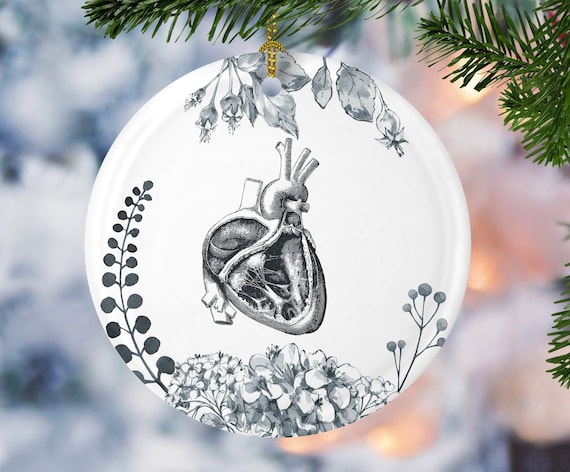 Heart Anatomy Porcelain Ornamentscardiology Gift Retired | Etsy