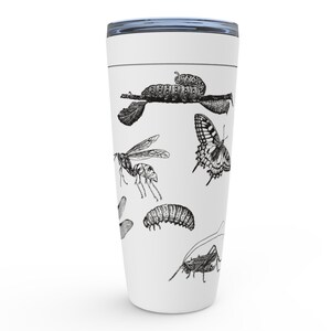 Insect Tumbler, Science Mug, Professor Gift, Entomology Mug, Phd Mug ...