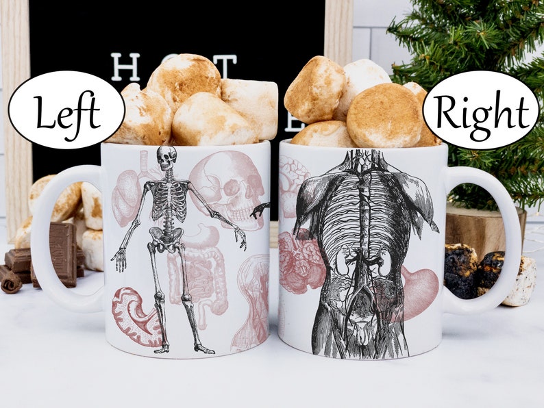 Bones and Internal Organs, Human Anatomy Gothic Ceramic Mug,nephrology ...