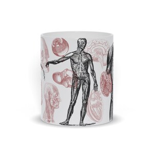 Bones and Internal Organs, Human Anatomy Gothic Ceramic Mug,nephrology ...