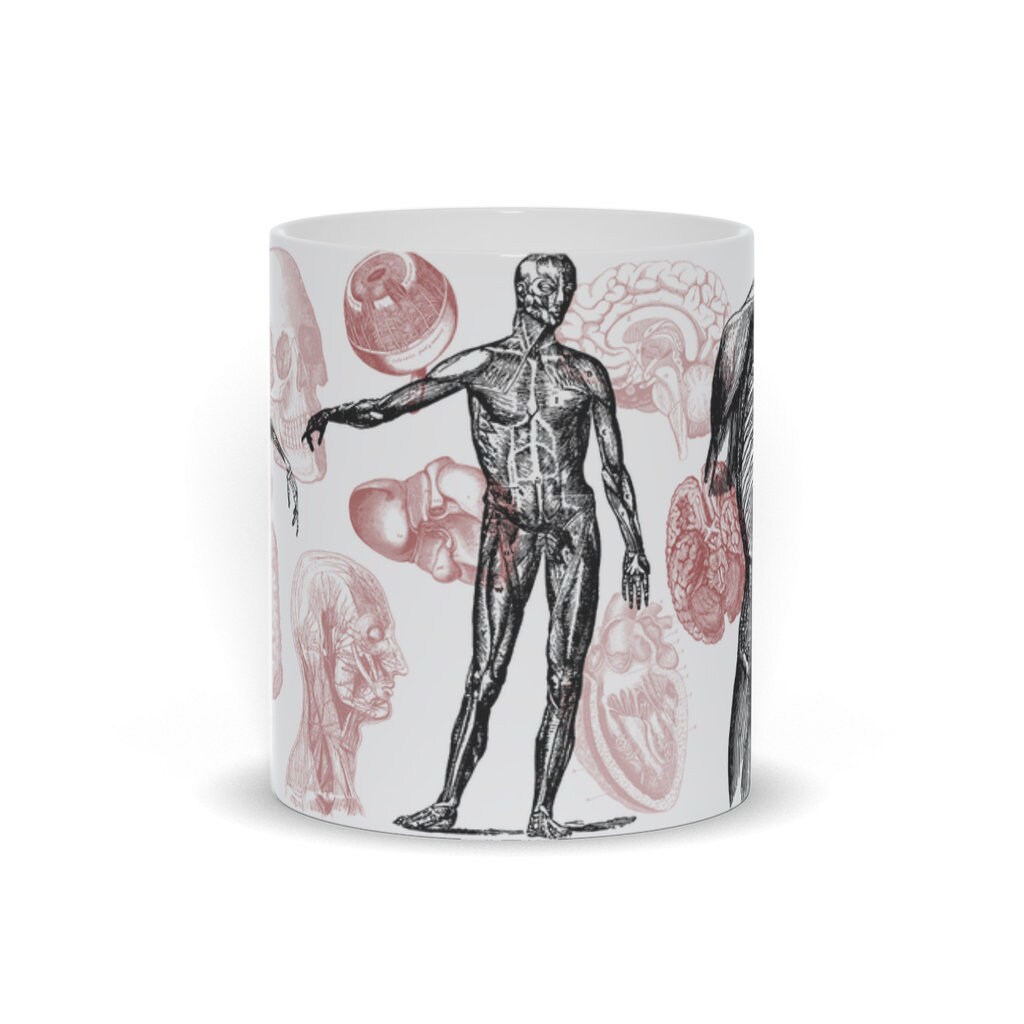 Bones and Internal Organs, Human Anatomy Gothic Ceramic Mug,nephrology ...