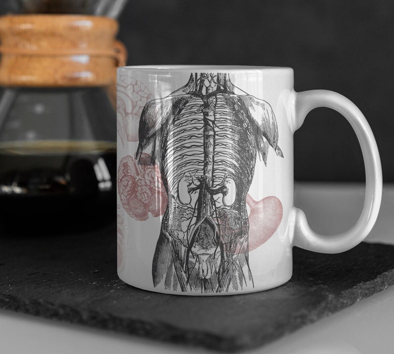 Bones and Internal Organs, Human Anatomy Gothic Ceramic Mug,nephrology ...