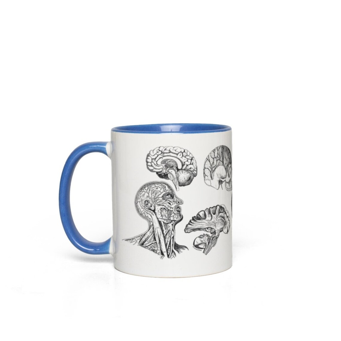 Custom Brain Anatomy Mug, Neurologist Gift, Future Doctor Tumbler ...