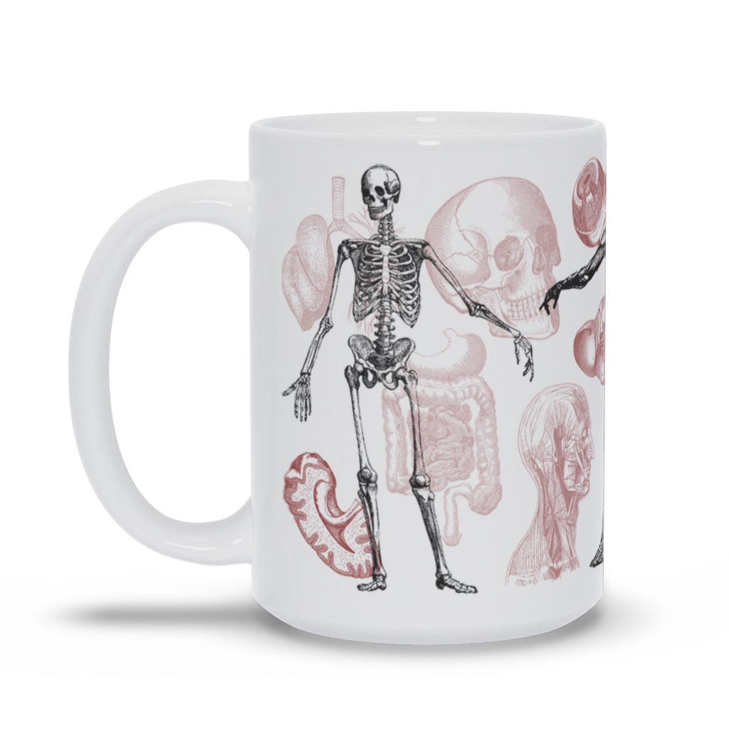 Bones and Internal Organs, Human Anatomy Gothic Ceramic Mug,nephrology ...