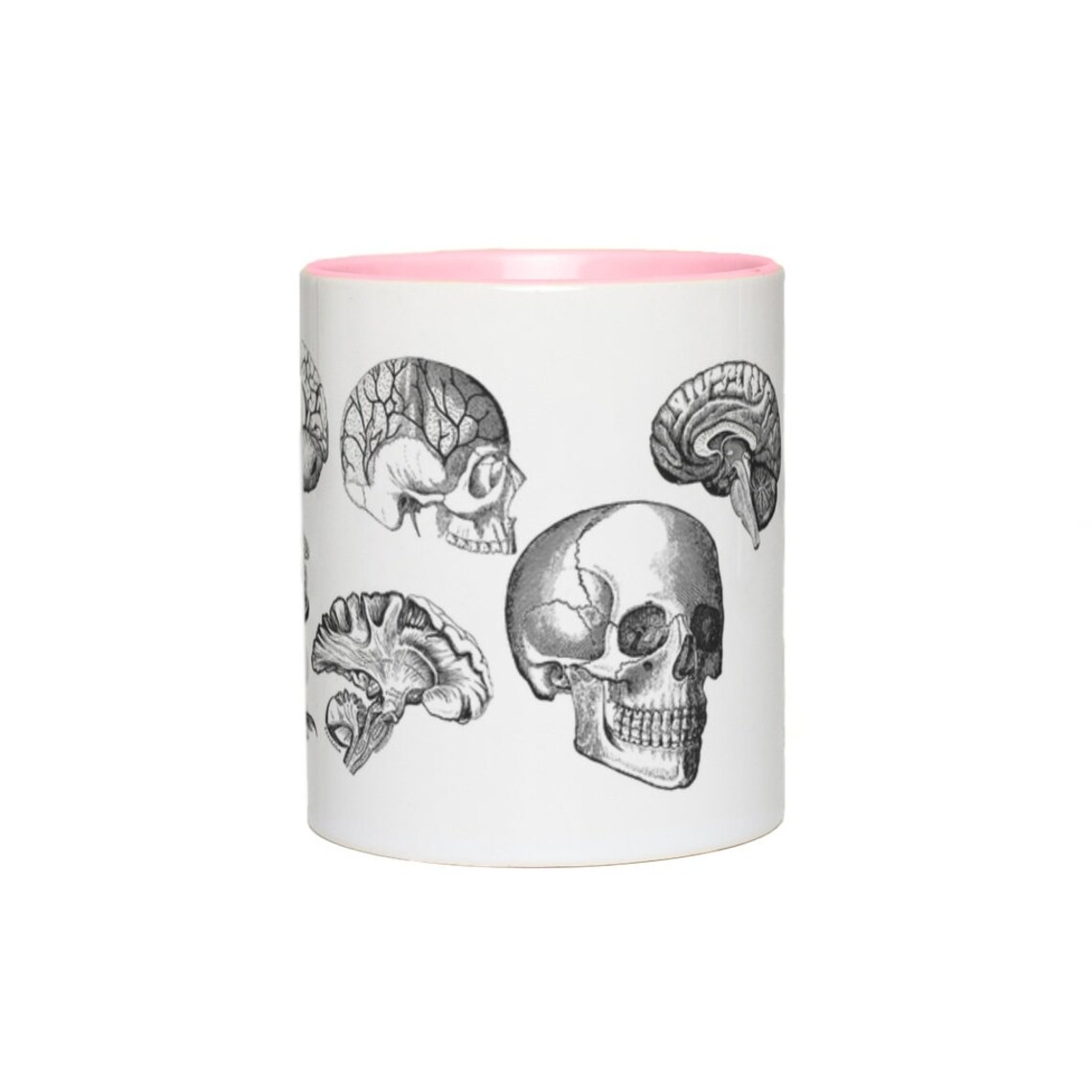 Custom Brain Anatomy Mug, Neurologist Gift, Future Doctor Tumbler ...